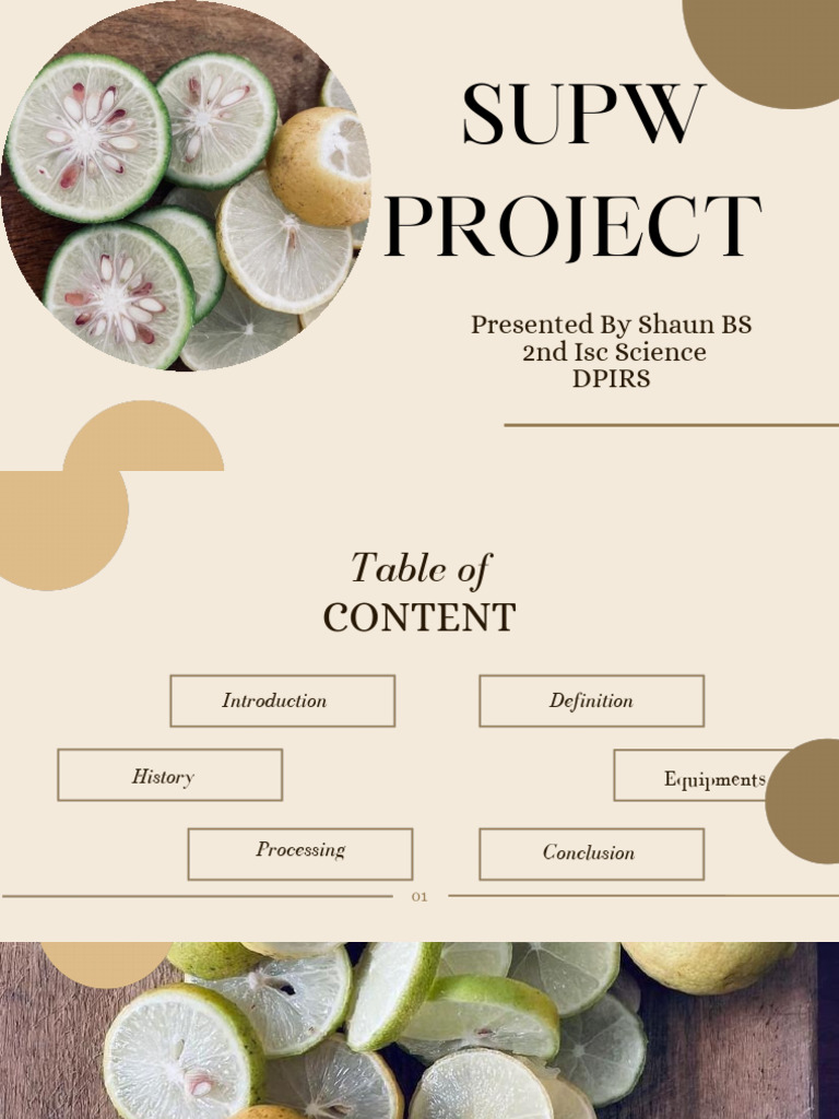 Supw Project - 20251011 - 194245 - 0000 | PDF | Pickling | Foods