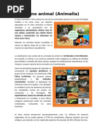Texto informativo sobre animales | PDF