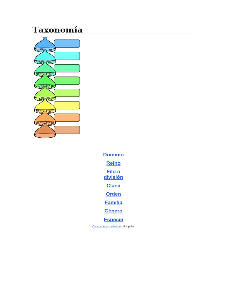 Taxonomía: Clasificación Biológica Esencial | PDF | Taxonomía (biología ...