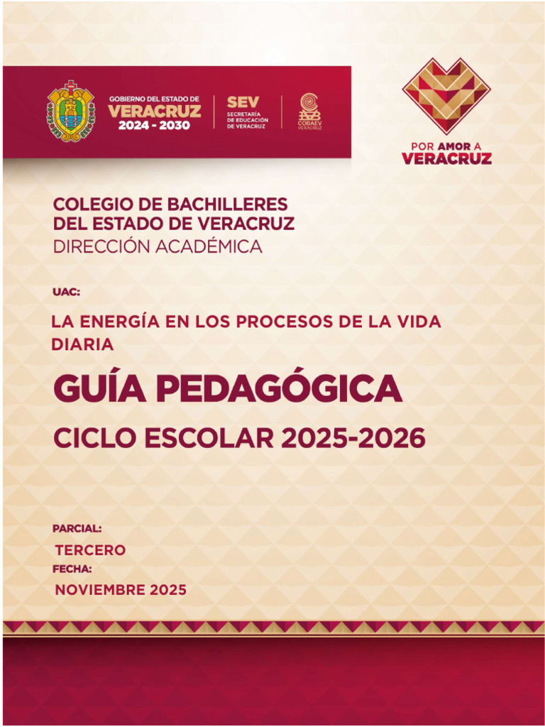 La Energía en Los Procesos de La Vida Diaria Guia Pedagogica Tercer ...