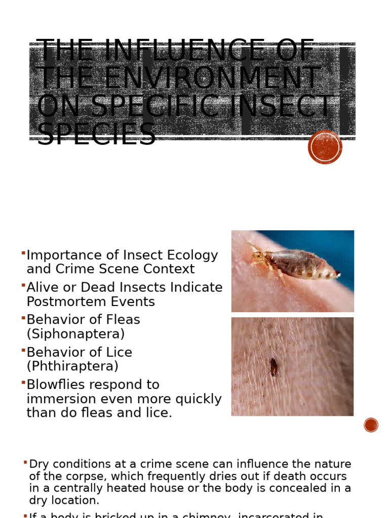 Environmental Impact on Insect Forensics | PDF | Decomposition | Insects