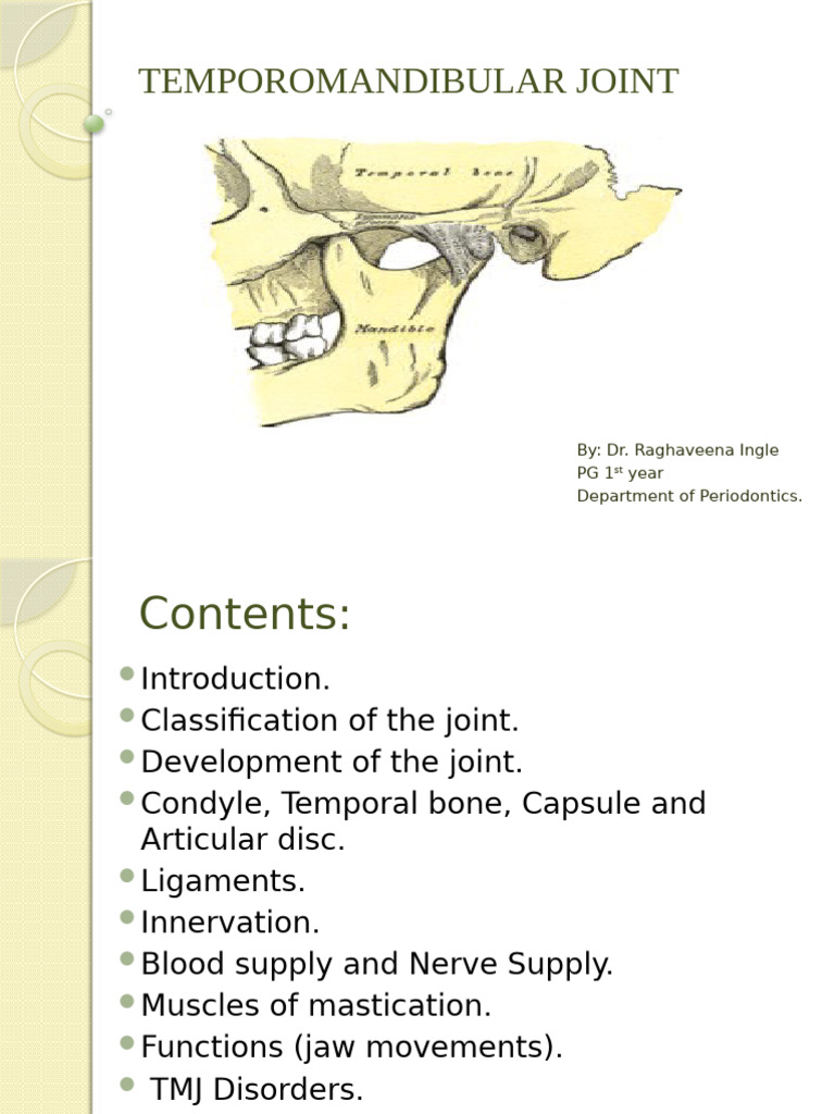Temporomandibular Joint | PDF | Musculoskeletal System | Primate Anatomy