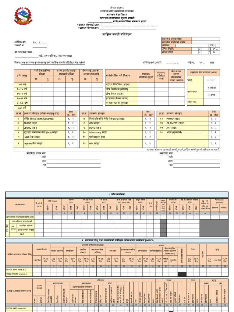 HMIS 9.3 Basic Health Facility Reporting Form1 | PDF