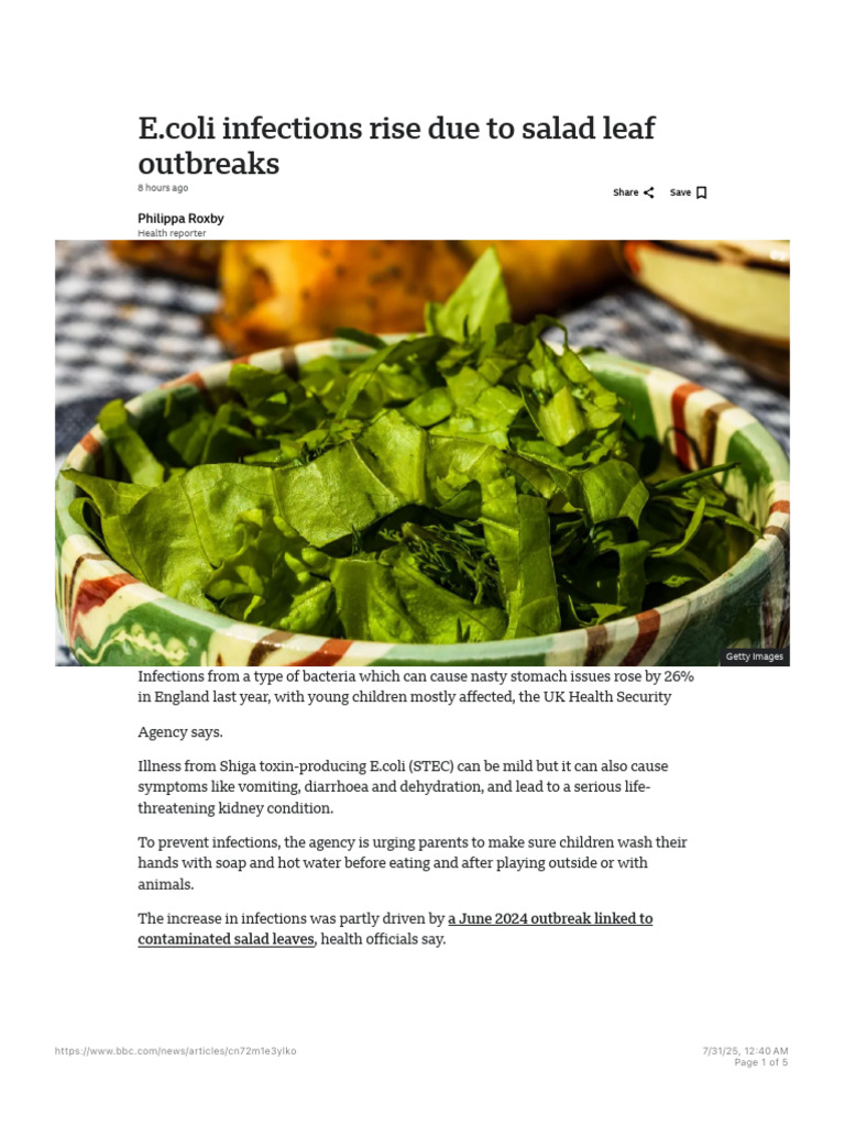 E.coli Infections Rise in UK Due To Salad Leaf Outbreaks | PDF ...