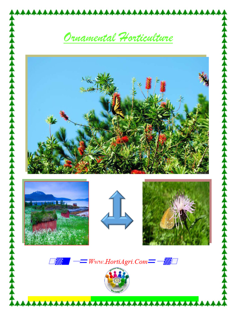 Ornamental | PDF | Plants | Botany