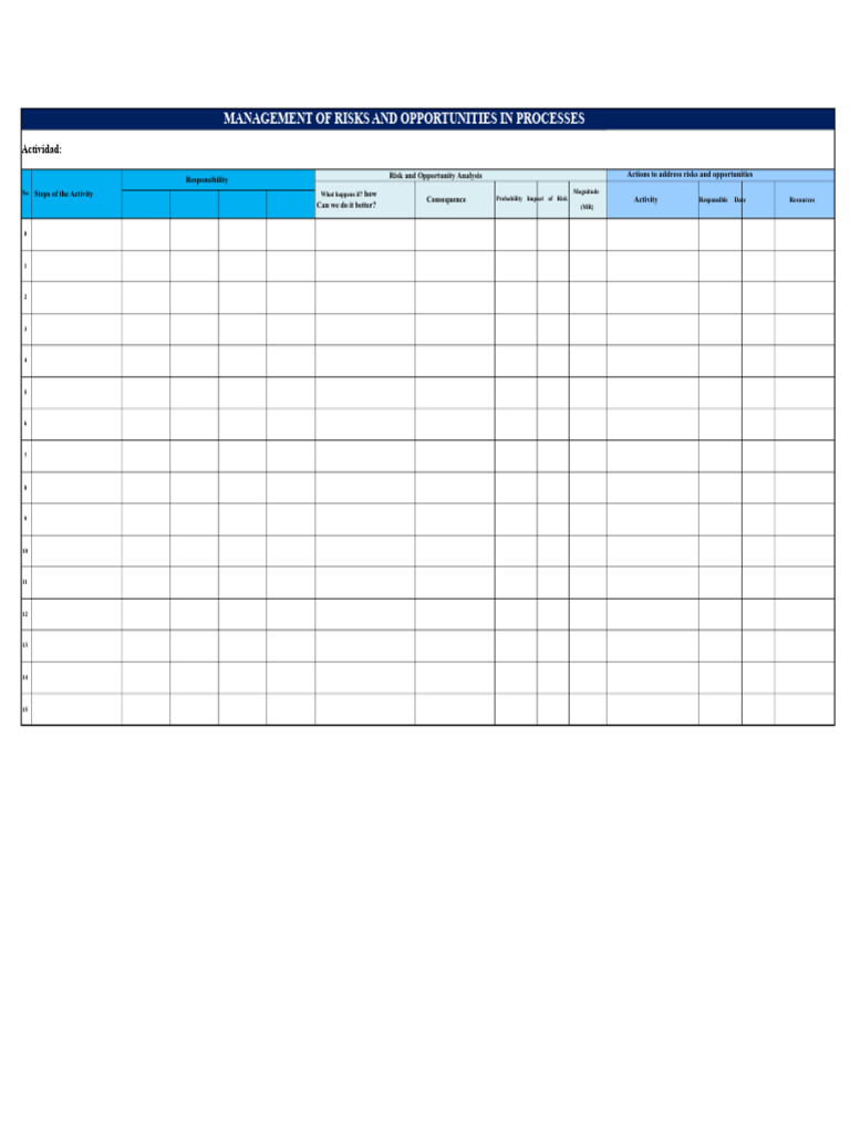 Risk Management Format in Processes (Auto-Save) | PDF