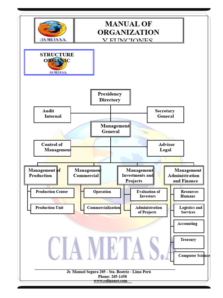 Manual of Organization and Functions - Organizational Chart | PDF