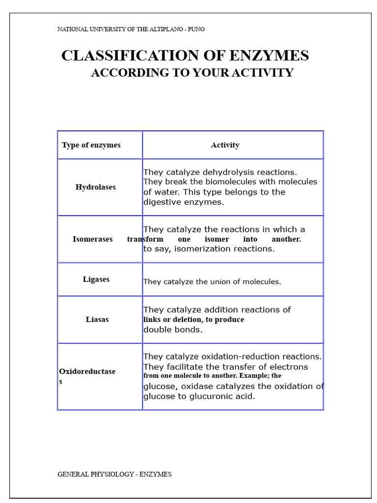 Classification of Enzymes According To Their Activity | PDF