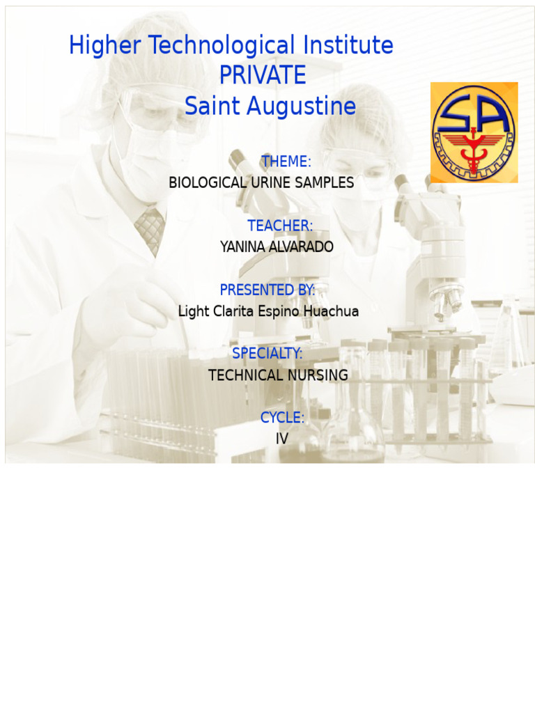 Biological Sample Slides Urine | PDF | Urine | Genitourinary System