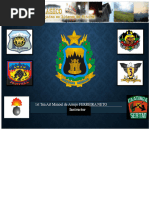 Hand Grenade Identification and Use | PDF | Shell (Projectile) | Ballistics