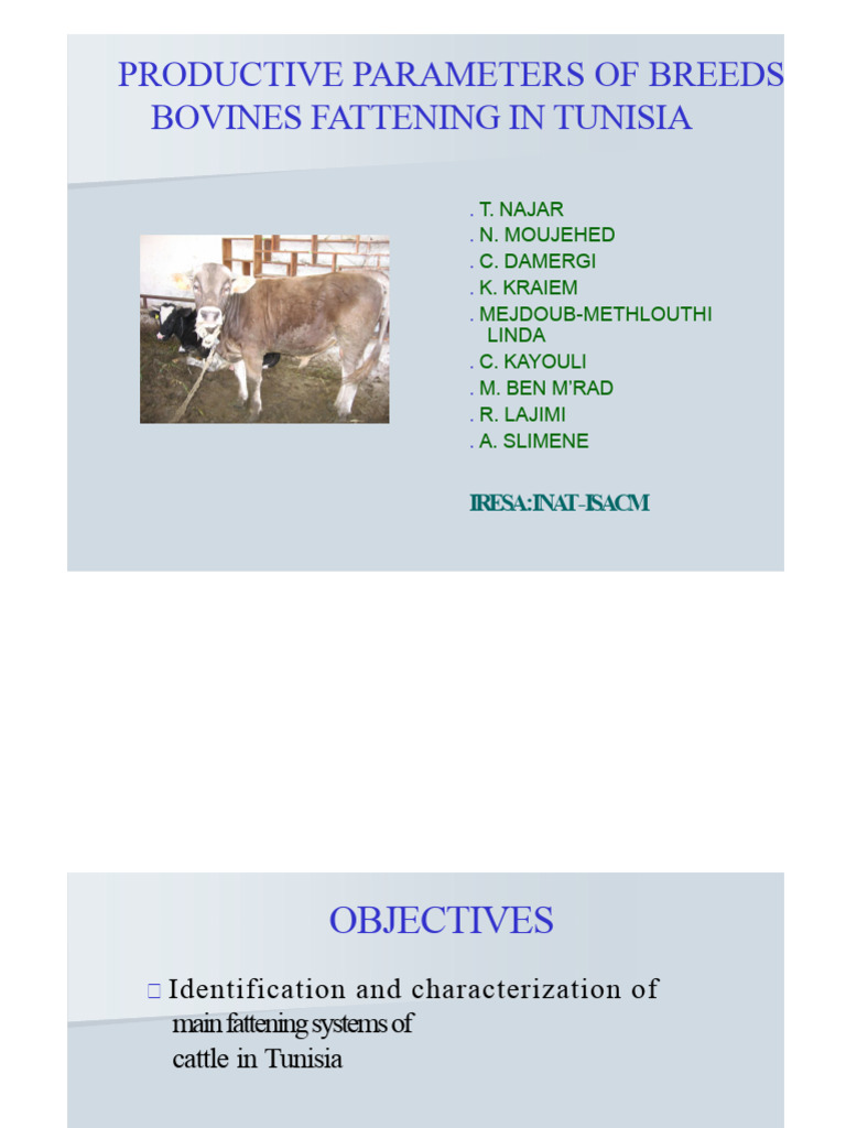 Tunisian Cattle Fattening Parameters | PDF | Cattle | Livestock