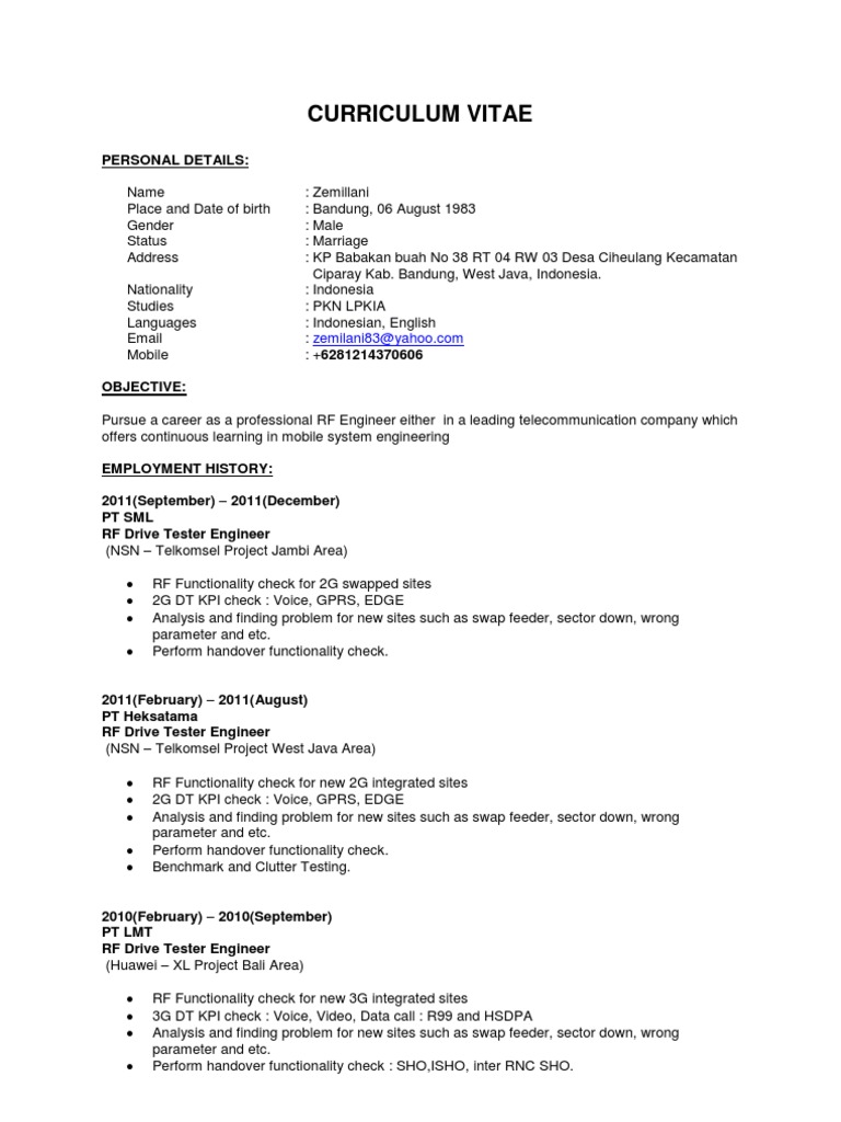 Zemil CV | PDF | Computers