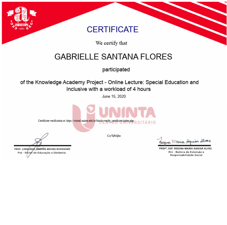 Special and Inclusive Education - Certificate | PDF