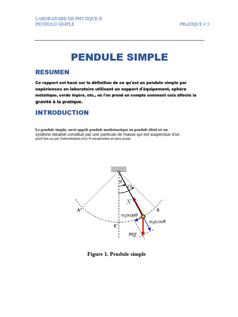 Étude du Pendule Simple en Physique | PDF | Pendule (physique) | Physique