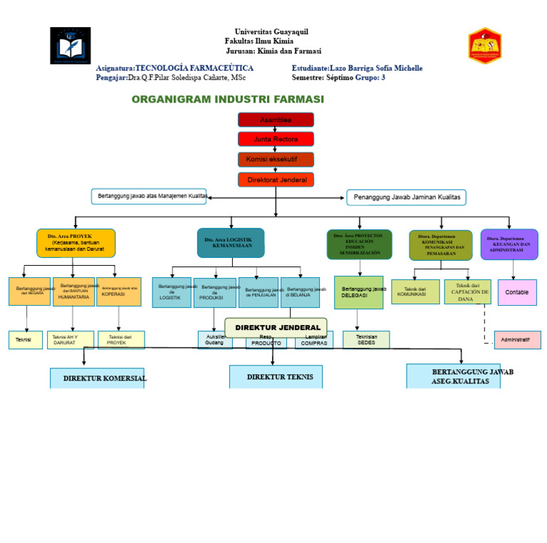 Organigram Industri Farmasi Guayaquil | PDF