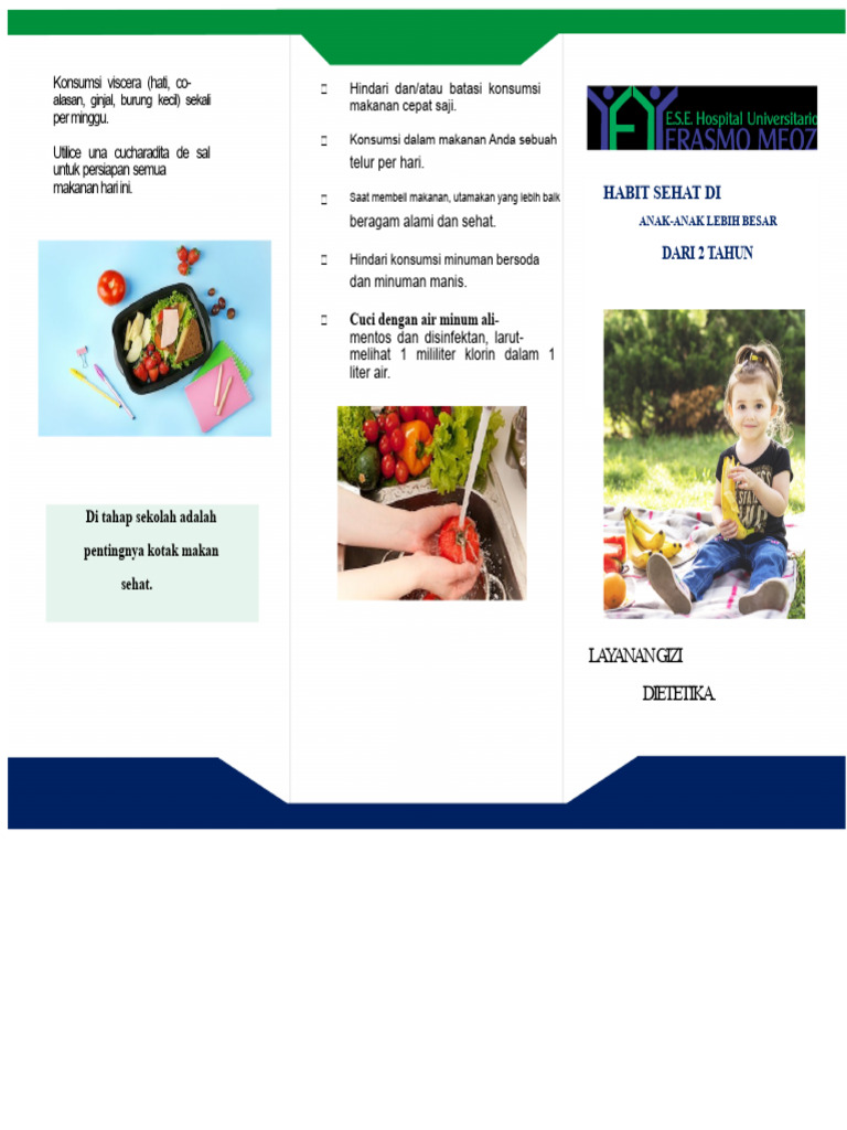 Panduan Diet Sehat untuk Anak 2+ Tahun | PDF