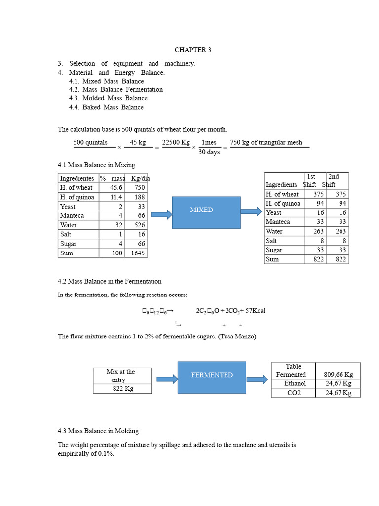 Mass Balance | PDF | Fermentation | Breads