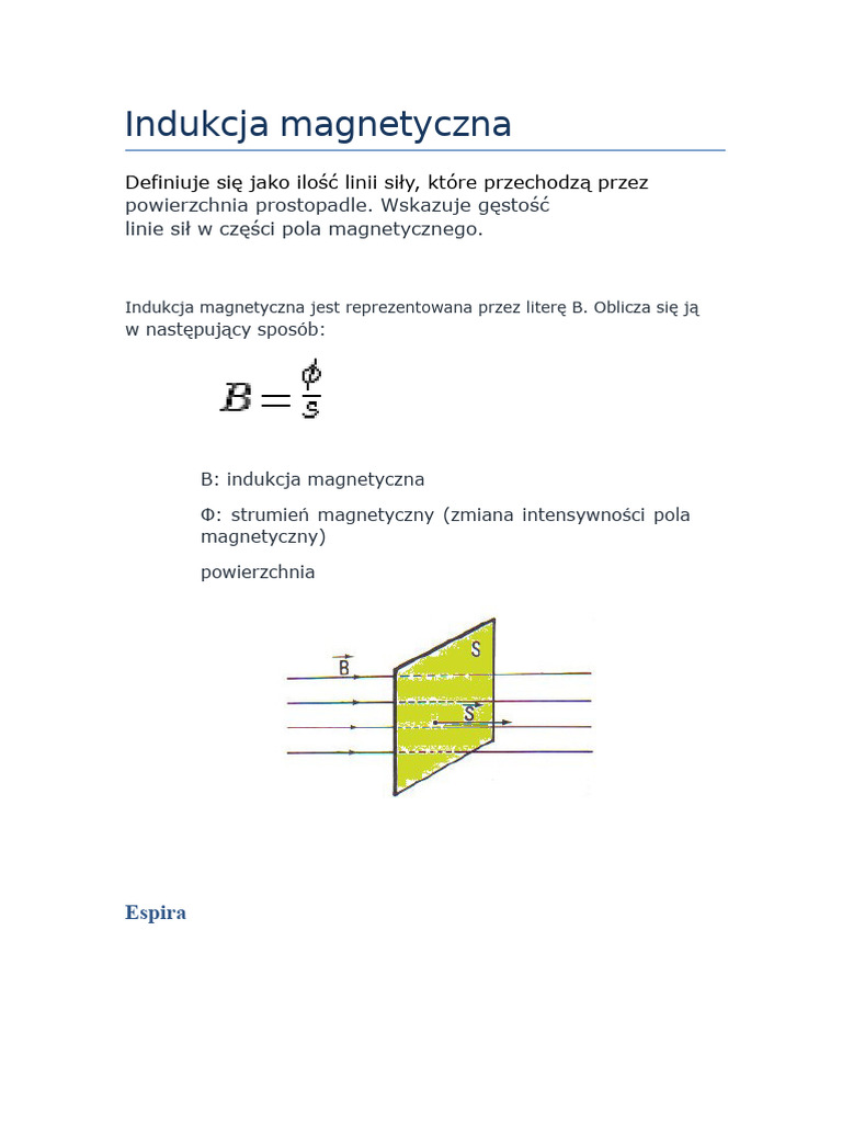 Indukcja Magnetyczna | PDF