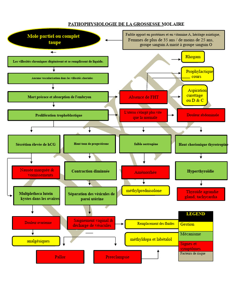 Pathophysiologie de la grossesse molaire | PDF | Grossesse ...