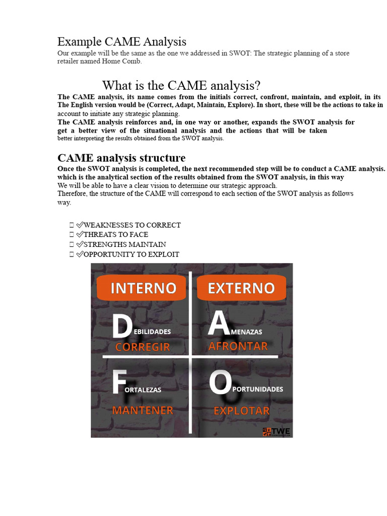 Example CAME Analysis | PDF | Swot Analysis | Strategic Planning