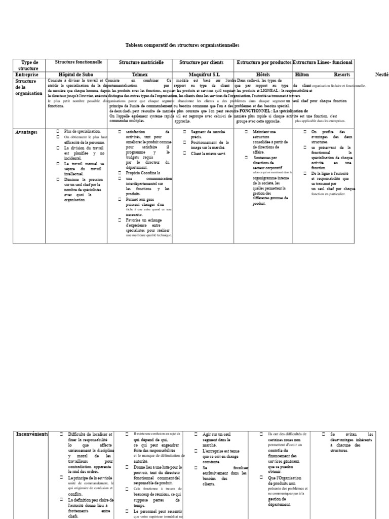Comparatif des Structures Organisationnelles | PDF