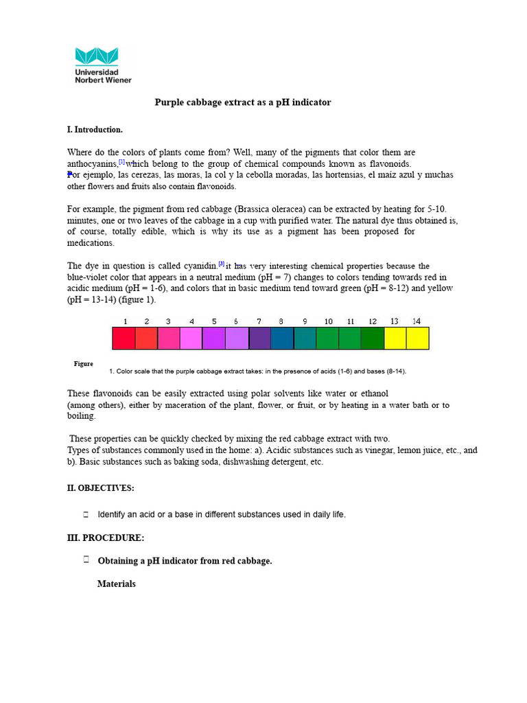 Purple Cabbage Extract As PH Indicator | PDF | Sodium Bicarbonate | Ph