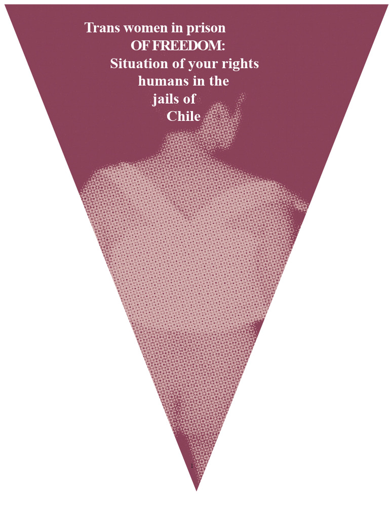 Trans Women Deprived of Liberty | PDF | Transgender | LGBTQIA+ Studies