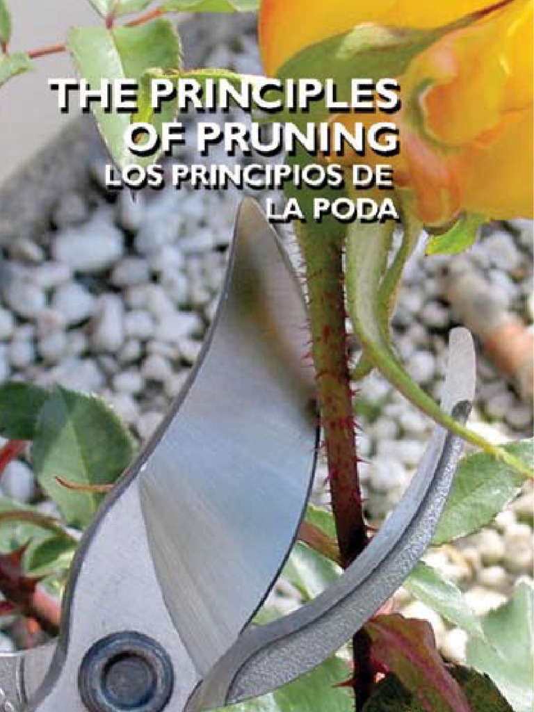 Principles of Pruning | PDF | Pruning | Scissors