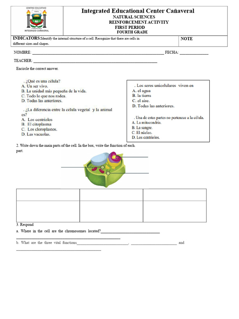 Natural Reinforcement Workshop Fourth | PDF