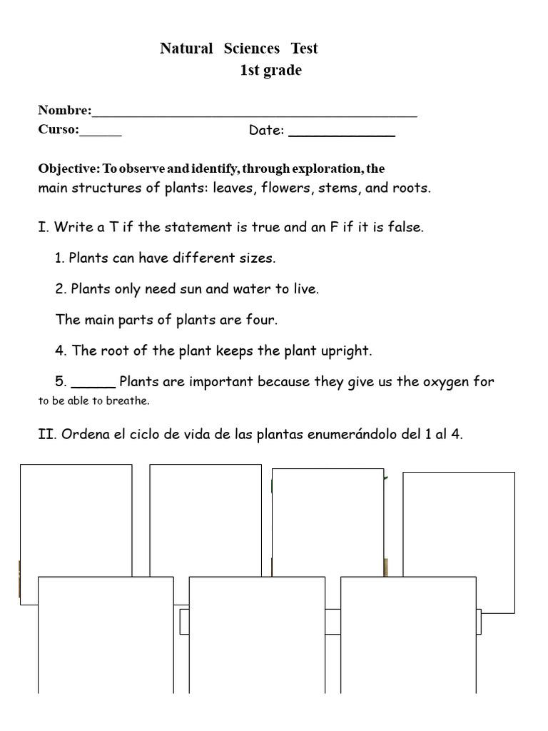Science Test Plants 1st Grade | PDF