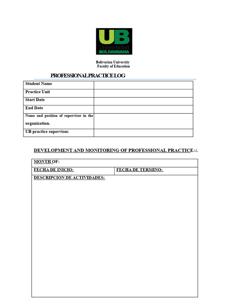Professional Practice Log | PDF