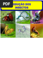 Ciclo de Vida e Desenvolvimento de Insetos | PDF | Insetos | Zoologia