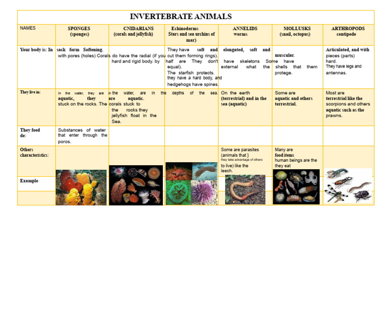Table of Invertebrate Animals | PDF | Invertebrate | Skeleton