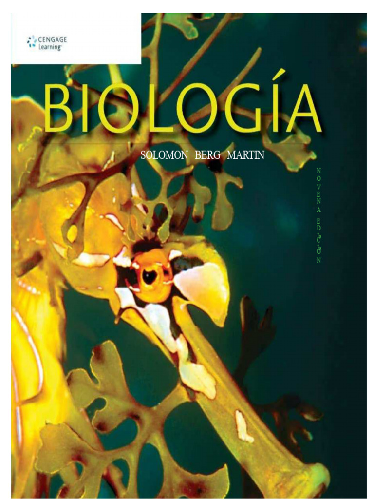Solomon Berg Martin | PDF