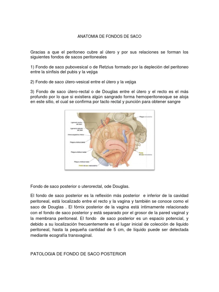 Anatomía y patología del fondo de saco posterior o saco de Douglas ...