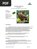 Hudhud: The Hoopoe Bird Explained | PDF | Birds | Ornithology