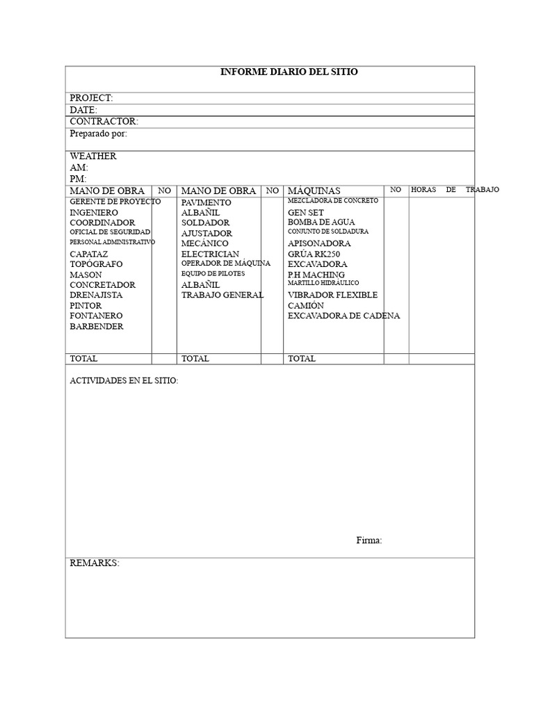 Formulario de Informe Diario Del Sitio | PDF