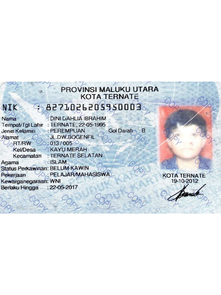 Data Diri CG C05 Dini Dahlia Ibrahim | PDF