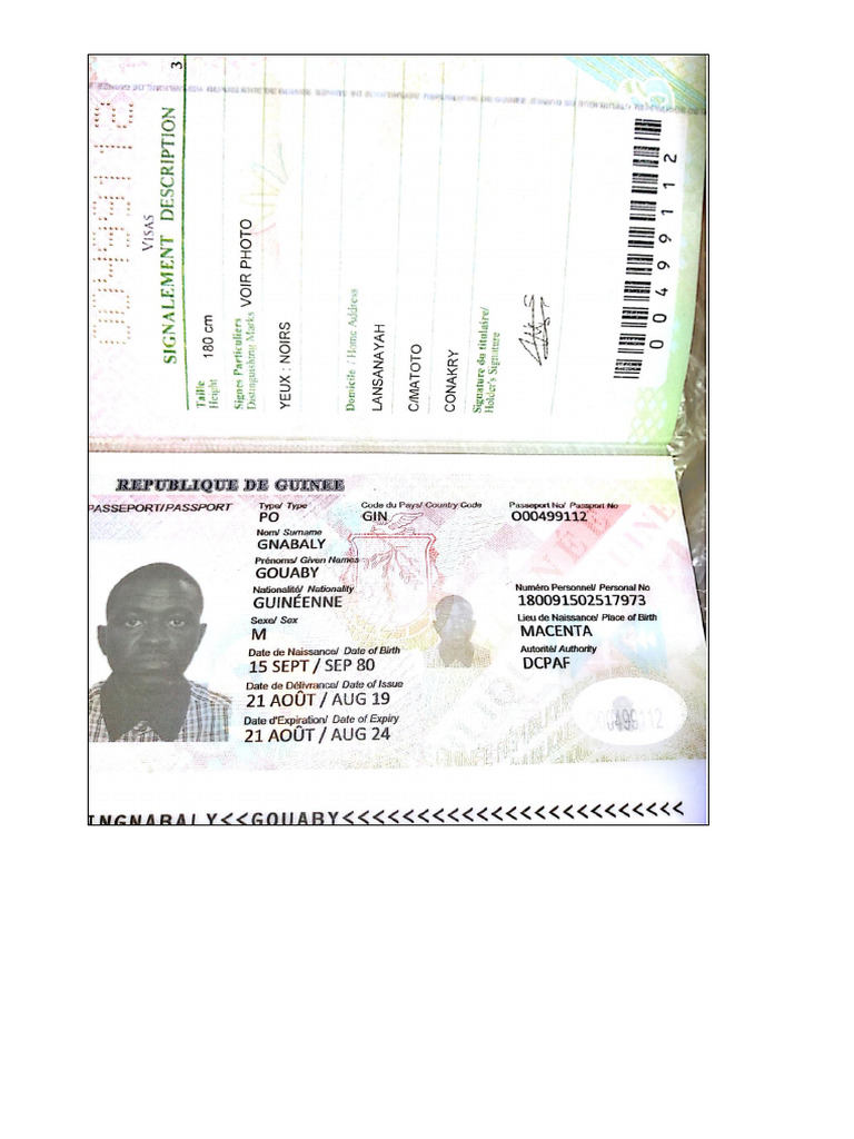 Passport | PDF