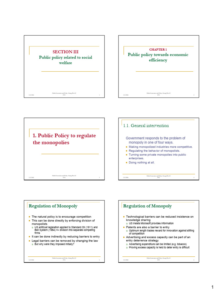 Regulation of Monopoly and Public Policy | PDF | Taxes | Supplemental ...