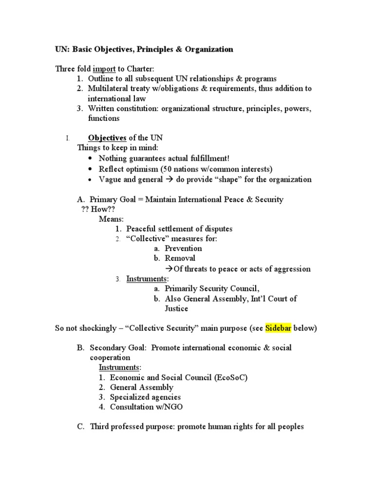 UN Objectives and Principles Explained | PDF | United Nations ...