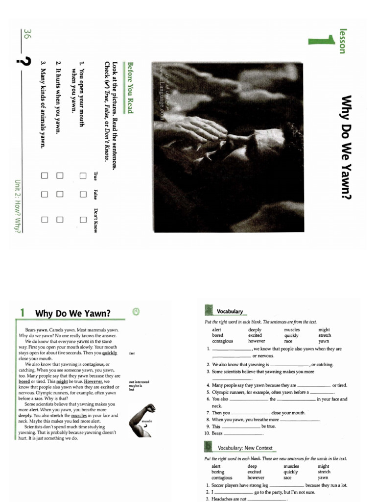 U2-L1 Why Do We Yawn | PDF
