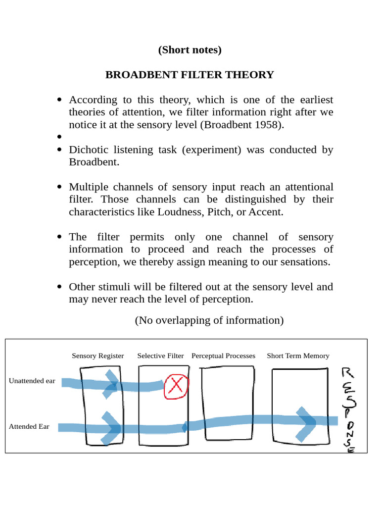 Short Notes | PDF | Perception | Neuroscience