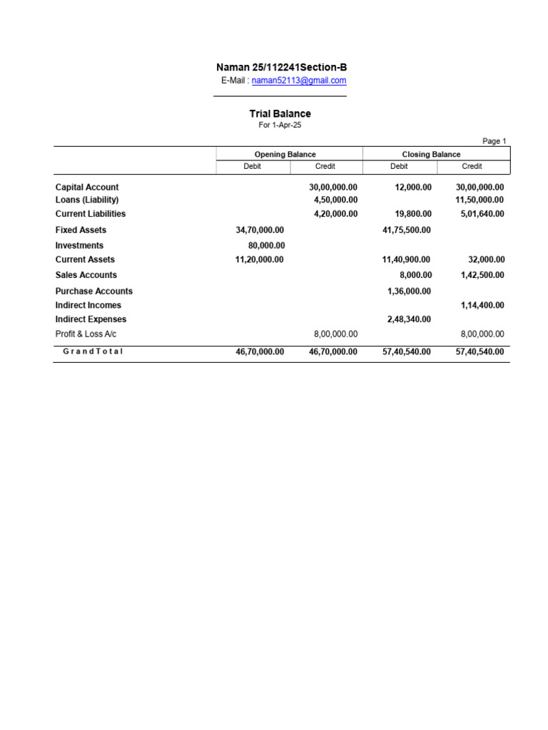Trial Balance | PDF