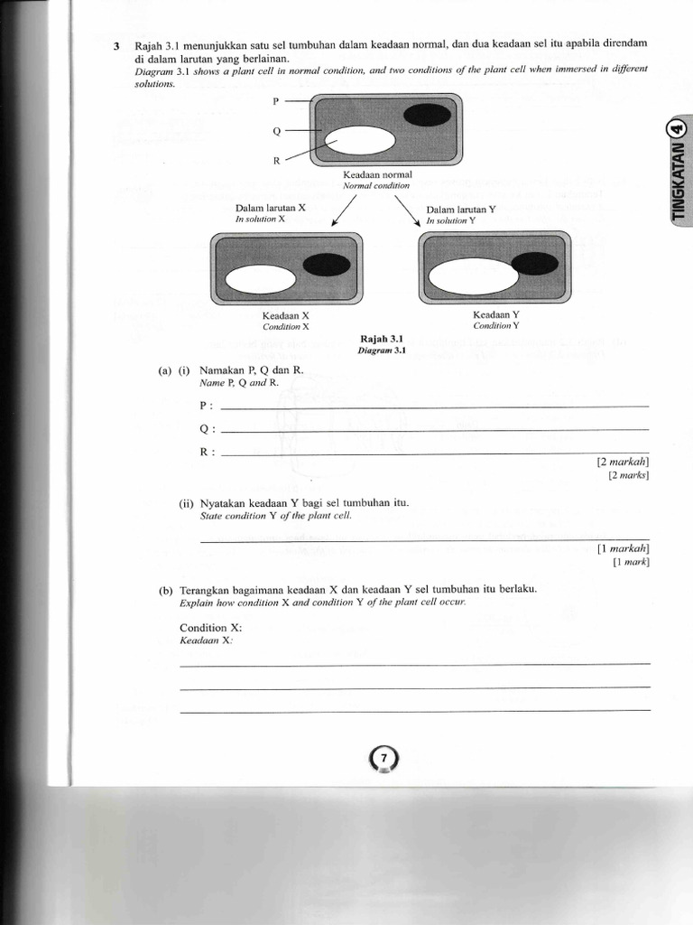 Bio F4 Revision | PDF