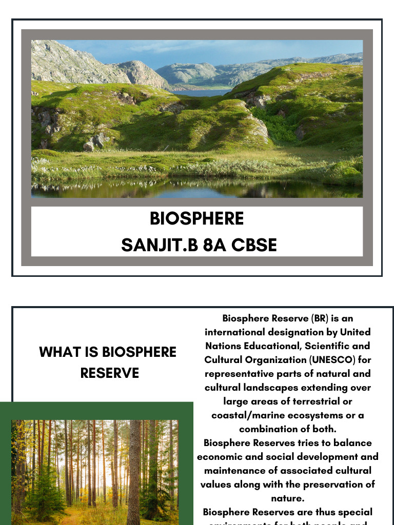 Biosphere 20250823 210347 0000 | PDF | Organisms | Environmental Science