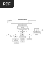Stab Wound Pathophysiology | PDF | Thorax | Health Sciences