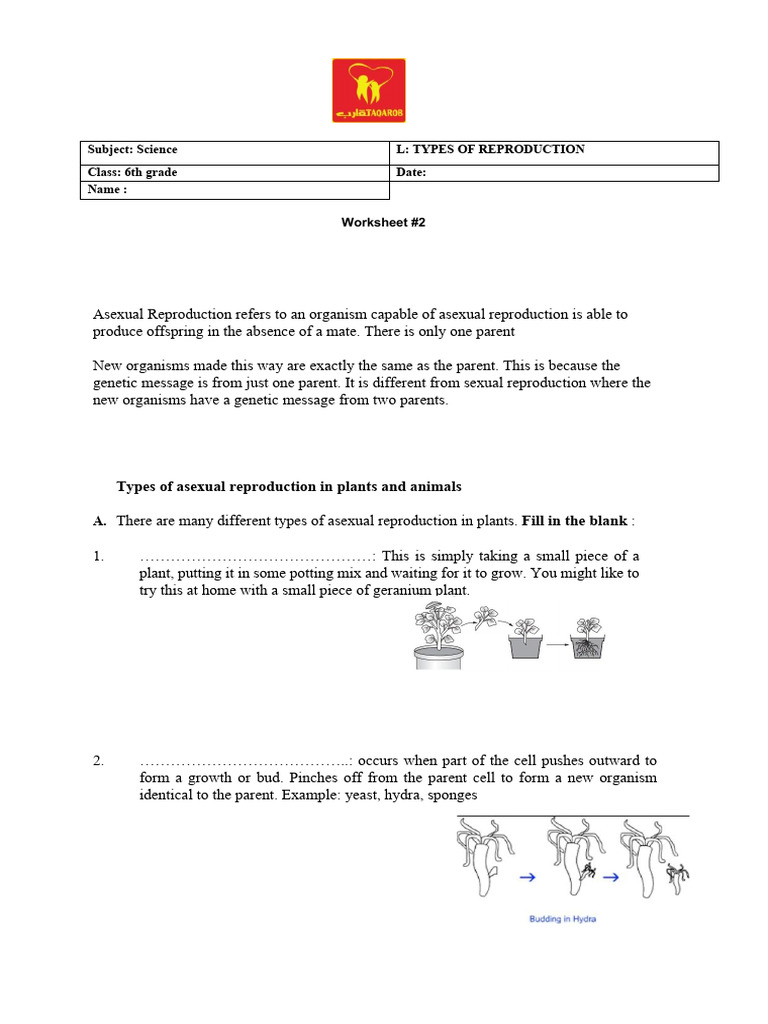 Types of Reproduction WORKSHEET | PDF | Reproduction | Biological Concepts