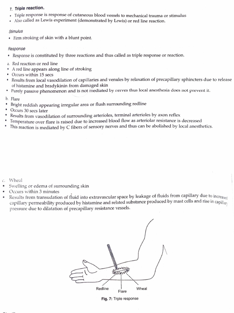 Understanding the Triple Response in Skin | PDF