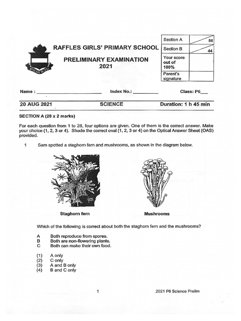 08 2021 P6 Prelim - Raffles Girls - Primary School | PDF